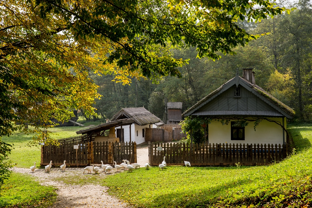 Muzeul Astra - Garduri din stuf ca în Delta Dunării - Opinia de Sibiu